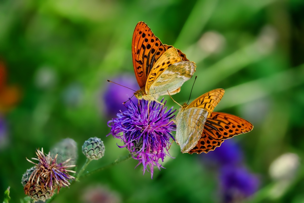 4 Lifestyle Tweaks to Thrive this Spring » Columbus Acupuncture LLC ...